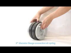 The Details of Dunlop 8''×2 Convoluted Air Bellows with Flange Cross Norgren M/31082
