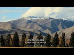 China Melamine Impregnated Decorative Printer Paper Wood Grain Pattern For Kitchen Cabinet for sale