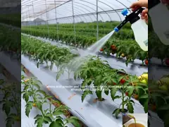 China Amino Acid Chelated Potassium For Fruit Color Promoting Red Color Development for sale