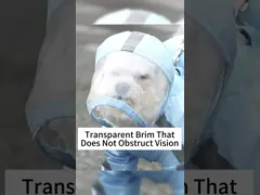 China Stormproof Hooded Quick-drying Dog Raincoat 3D Tailoring High Elasticity for sale