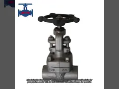 China Automatic Actuation Steel Internal Thread Wedge Gate Valve for Steam and Oil Medium Type for sale