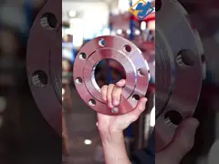 Stainless Steel 304 304L 316 316L RF Female Thread Bsp Npt Threaded Screw Flange