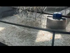 Gelatinepulver aus Rindern, pharmazeutischer Qualität, mit einer Gelstärke von 160 bis 280