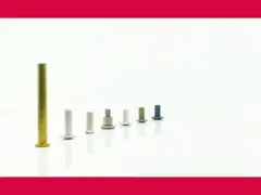 Stinless Steel Phillips Truss Head Female Brass Black Chicago Screw For Belt Learher