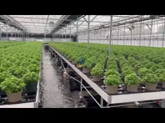 China Custom 4x8 Nursery Hydroponic Ebb And Flow Table Rolling Bench Grow Rack for sale