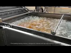 Corn and carrot bubbling cleaning machine