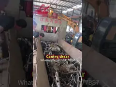 WANSHIDA 갱트리 셰어 길로틴 셰어 스크랩 금속 셰어