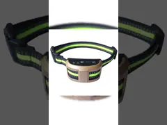 China Water Resistant Pet Training Shock Collar Rechargeable for Dog and cat Agility for sale