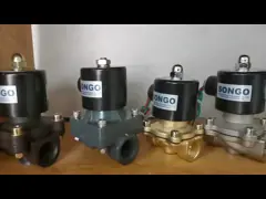 SONGO 2W Series Direct Acting Brass Solenoid Valve for Water