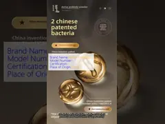 China 36000 Billion CFU Lactobacillus Powder For Safeguard Liver And Gastric Health for sale