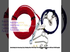 China High Tensile Strength 1570-1960MPa ISO9001 Certified Steel Wire Rope Dog Tie Out Cable and Run Trolley for sale