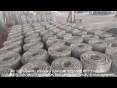 304 316 Recinzione galvanizzata in acciaio inossidabile resistente agli urti