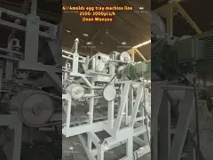 China Low Noise Paper Egg Tray Machine , Egg Box Making Machine Paper Apple Tray Making for sale