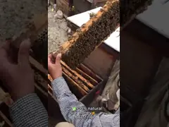 100% Pure Natural Organic Bee Honey with Distinctive Aroma and Color