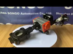 Pneumatic Actuator valve