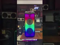 China 8" Woofer Portable Party Speaker with LED Lighting and Bluetooth Connectivity for Portable Party Sound from Temeisheng for sale