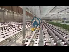 China Greenhouse Hydroponic Vertical NFT Hydroponic System Soilless Vegetable Planting Troughs for sale