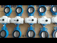 Motorized Actuator Valve