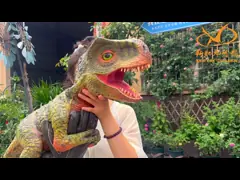 China Realistic Baby Dinosaur Hand Puppet for Perfomance, Dragon Hand Puppet for Dino Park for sale
