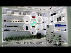 China CTS Lifepo4 Battery 24v 48v 72v 80v 100ah 200ah Lithium Ion Battery For AGV Forklift Robot for sale