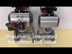 Pneumatic Actuator valve