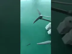 fpv