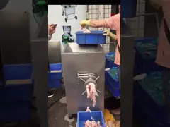 China Large Frozen Meat Grinder Beef Grinder  Poultry Grinder for sale