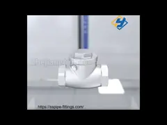 OEM, ODM, OBM Stainless Steel Check Valve H14 Check Valve