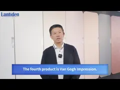 China Smooth Surface Wall Texture Paint Van Gogh Impression Special Effects Snowflakes for sale