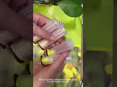 China Transparent Clear Queen Bee Cage With Foam Queen Introduction Cage for Beekeeping for sale