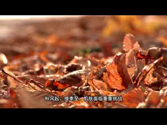 Brightening Mask-8.19