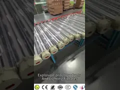 China Explosion Proof Linear LED Light IP66 Hanging T5&T8 Double Tube Fixture for Industrial & Chemical Hazardous Areas for sale