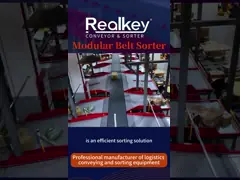 Modular Belt Sorter