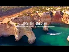 Display LCD monocromo personalizzato 256x96 FSTN 22Pin Graphic Dot Matrix LCD Module