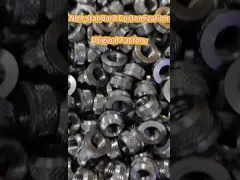 China Food Beverage Industry DIN Standard White Zinc Flange Thumb Nut with Customized Design for sale