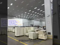 PE Coated Paper Roll for Disposable Cups and Containers