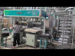 Pulp Molded Products