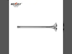 China High-Quality 1328537 Engine Exhaust Valve For Scania Engines for sale