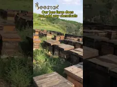 Pure natural honey, without any additives, concentrated at low temperature