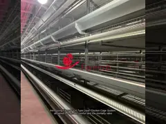 低死亡率層 鶏籠システム 快適な環境