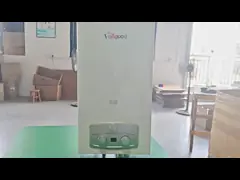 8L-18L Indoor Flue Type Gas Water Heaters Multiple Models Factory Direct Supply