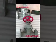 China Stainless Steel Flanged Yoke Flexible Wedge Gate Valve 1/2-10 Inch NRS Full Port ANSI150/300 for sale