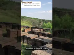 China Notebook Beeswax Foundation Embosser Manual Square Beeswax Foundation Mold for sale