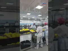 China Industrial Dried Fruit Processing Line for Mango Apple Slices for sale