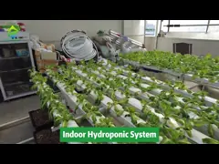 Vertical Farming Soilless Cultivation Hydroponic NFT Square Pipe System