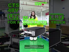 China CTS RGV 12V 24v Truck Battery 100Ah/200Ah/300Ah/400Ah Lifepo4 Lfp Lithium Ion Prismatic Battery for sale