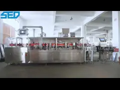 SED-120P-H Blister Packing Machine