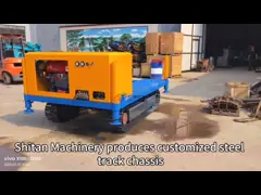 China Agriculture OEM Engineering Cralwer Track Undercarriage Diesel Engine Driven for sale
