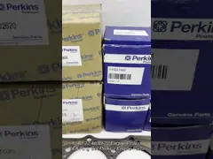 404D-22 403D-22 Engine Pistion Kit & Ring Set Perkins Engine Parts