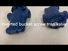 Steam Trap